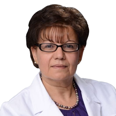 Afaf Akhnoukh | Internal Medicine | Forest Hills Medical Office